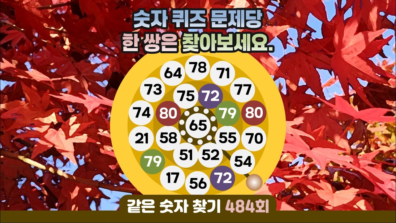 같은숫자찾기 484회 숫자 퀴즈 문제당 한 쌍은 찾아보세요 같은숫자찾기 퀴즈 치매예방퀴즈 두뇌활성화 Number