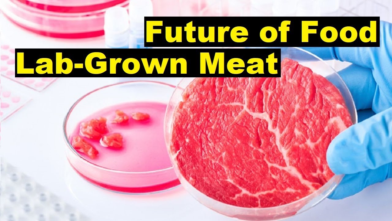 What is Future of Food ? Lab-Grown meat is Ready to Eat. -ASB Planet ...