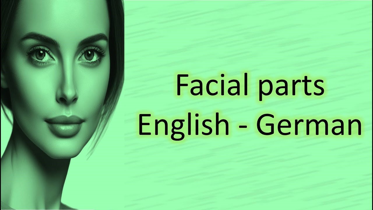 Facial organs / English - German - YouTube