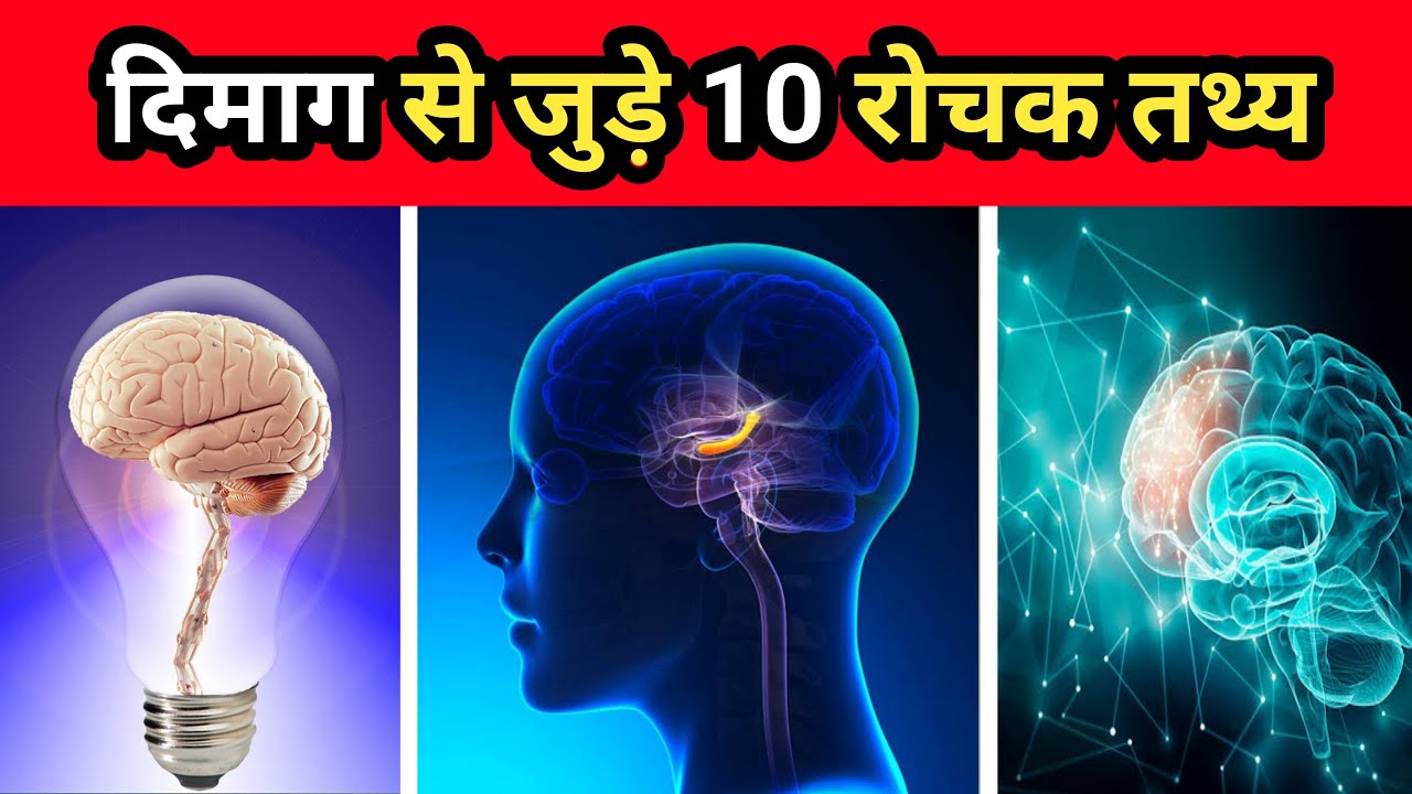 10 Amazing Facts About Human Brain Human Body Facts shots 10-amazing-facts-about-human-brain-human-body-facts-shots