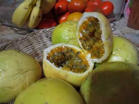 MARACUYA: PROPIEDADES Y BENEFICIOS - YouTube