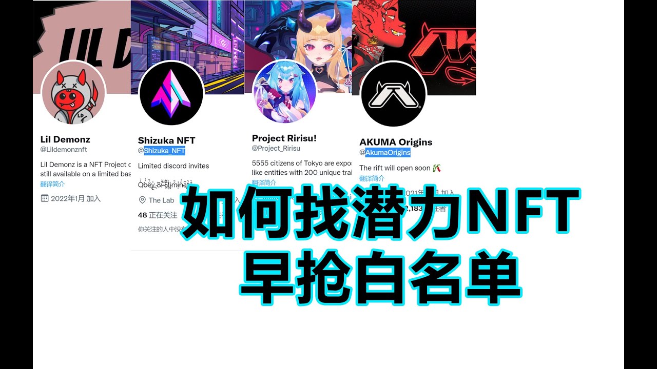 一起找潜力NFT 早抢白名单 Akuma Origins/Lil Demonz/Shizuka NFT/Project Ririsu ...