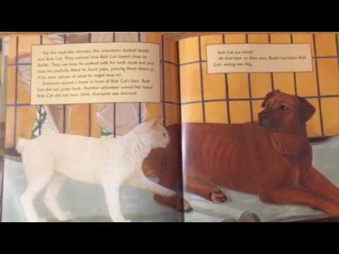 Two Bobbies Read-Aloudh - YouTube