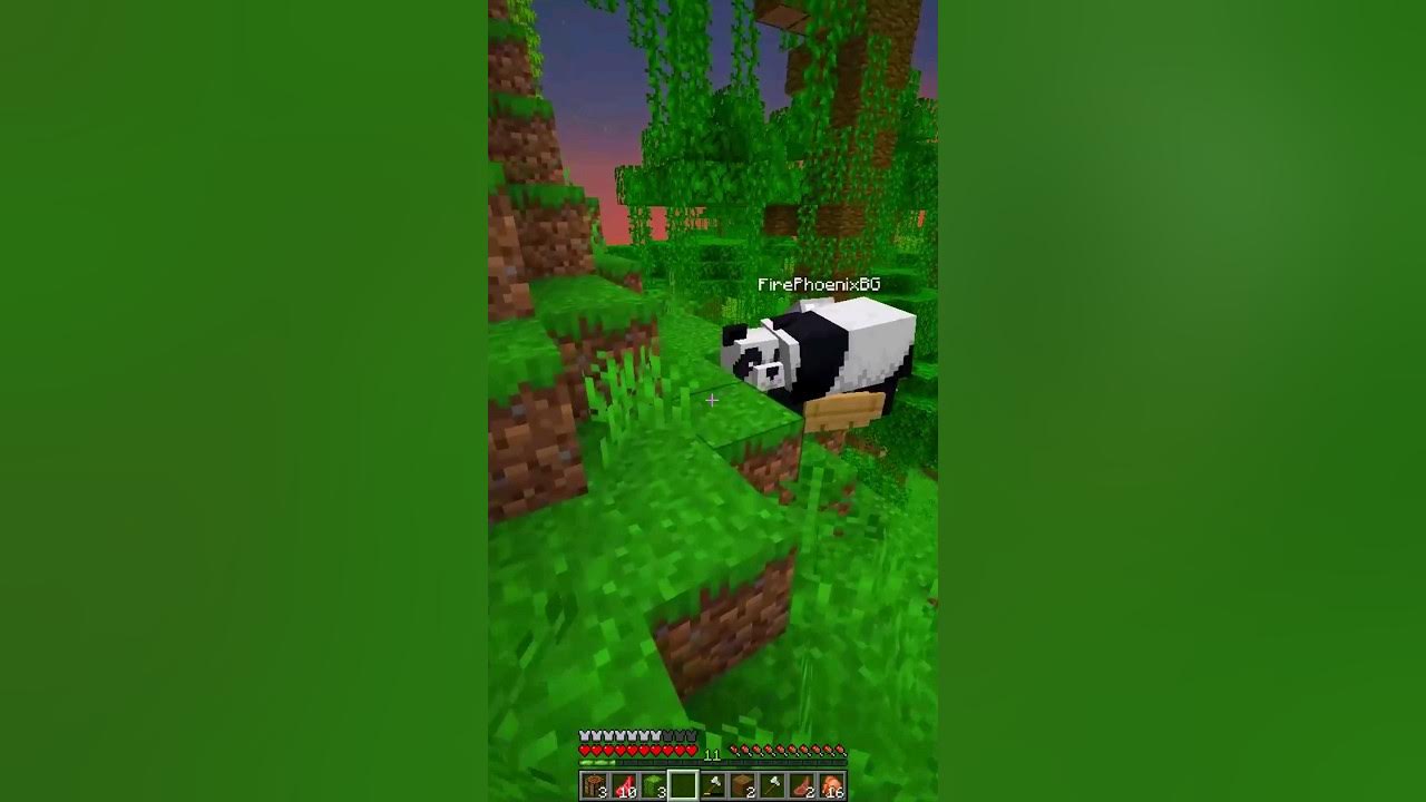Да си тръгваме Панди 🐼😊 ️ #shorts - YouTube