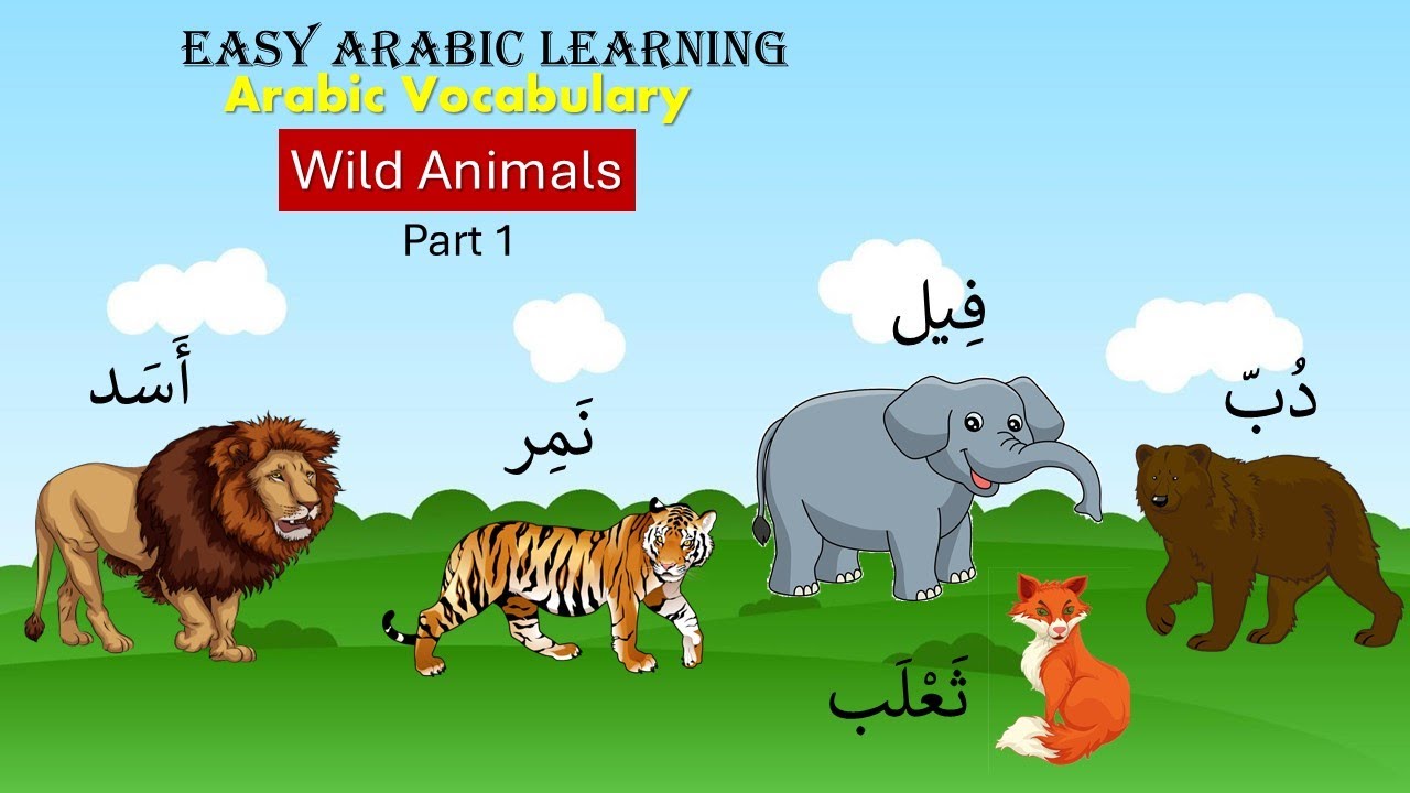 Arabic Vocabulary - Wild Animals (part 1) - YouTube