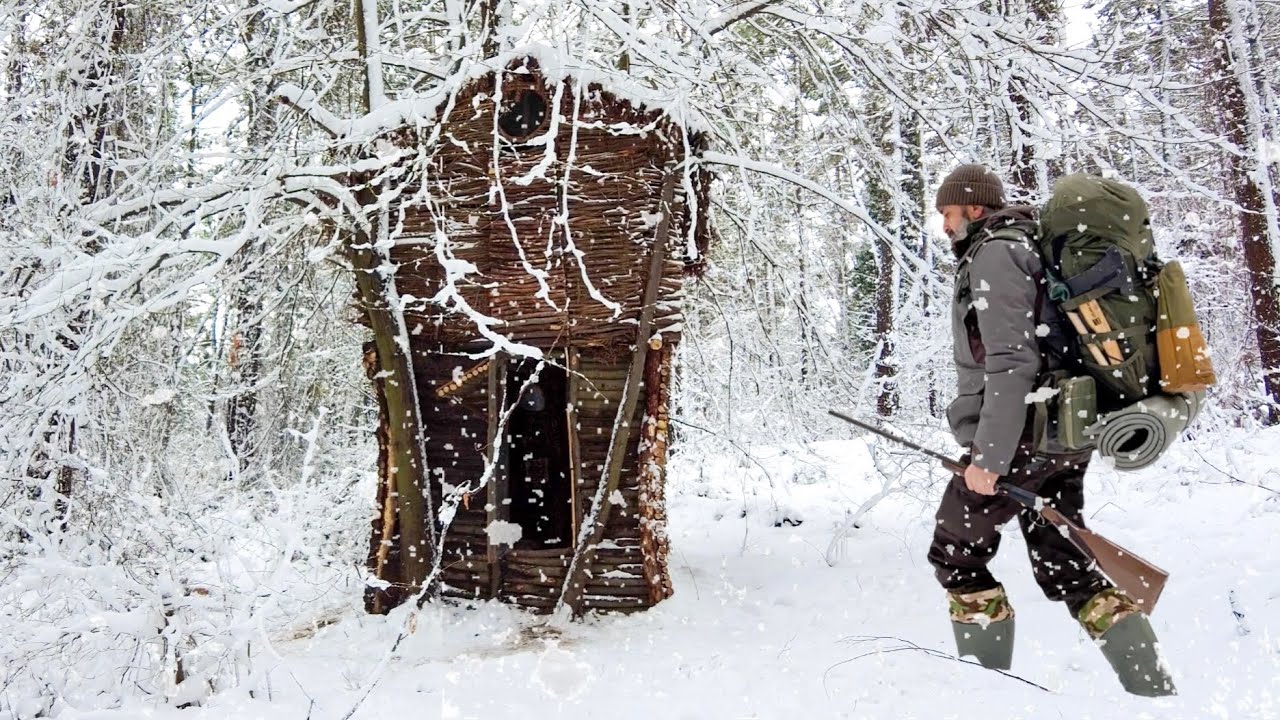 Best Tree Cabin Camps in the Wilderness - YouTube