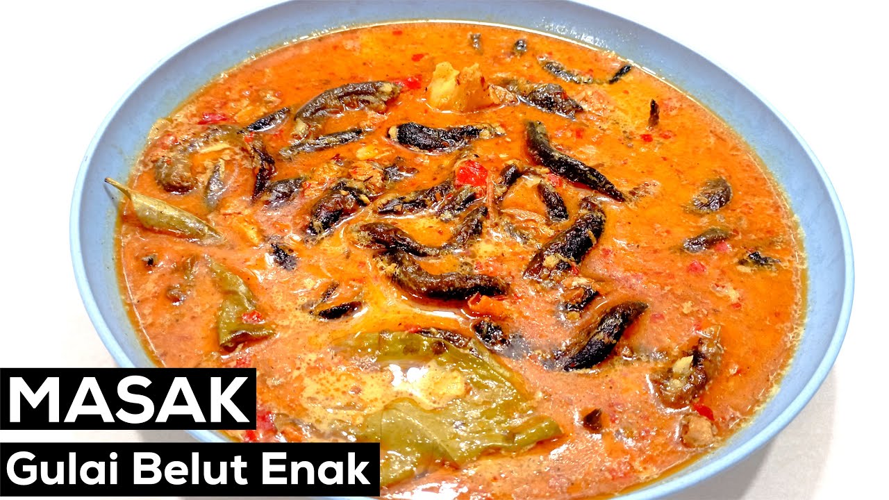 MAKNYOSS!!! RESEP MASAK GULAI BELUT - YouTube