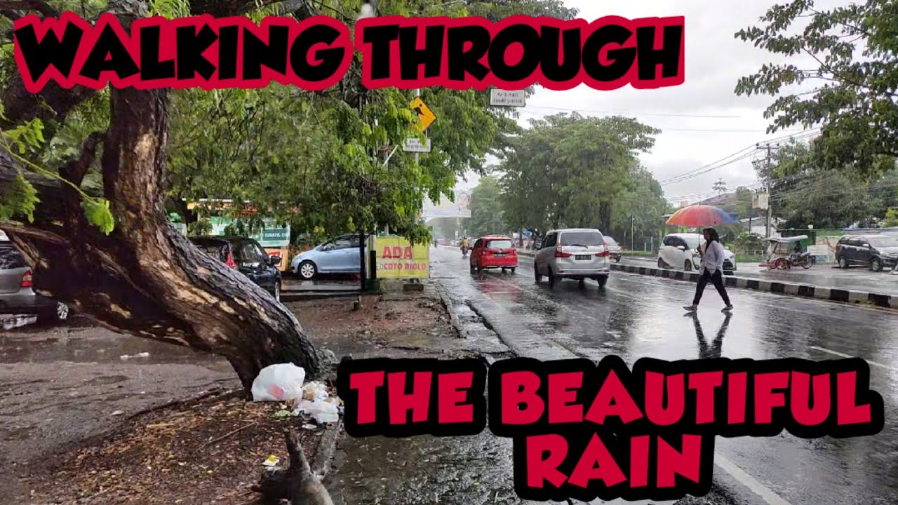 Walk Through The Rain - The Most Beautiful Video You'll Ever Watch ...