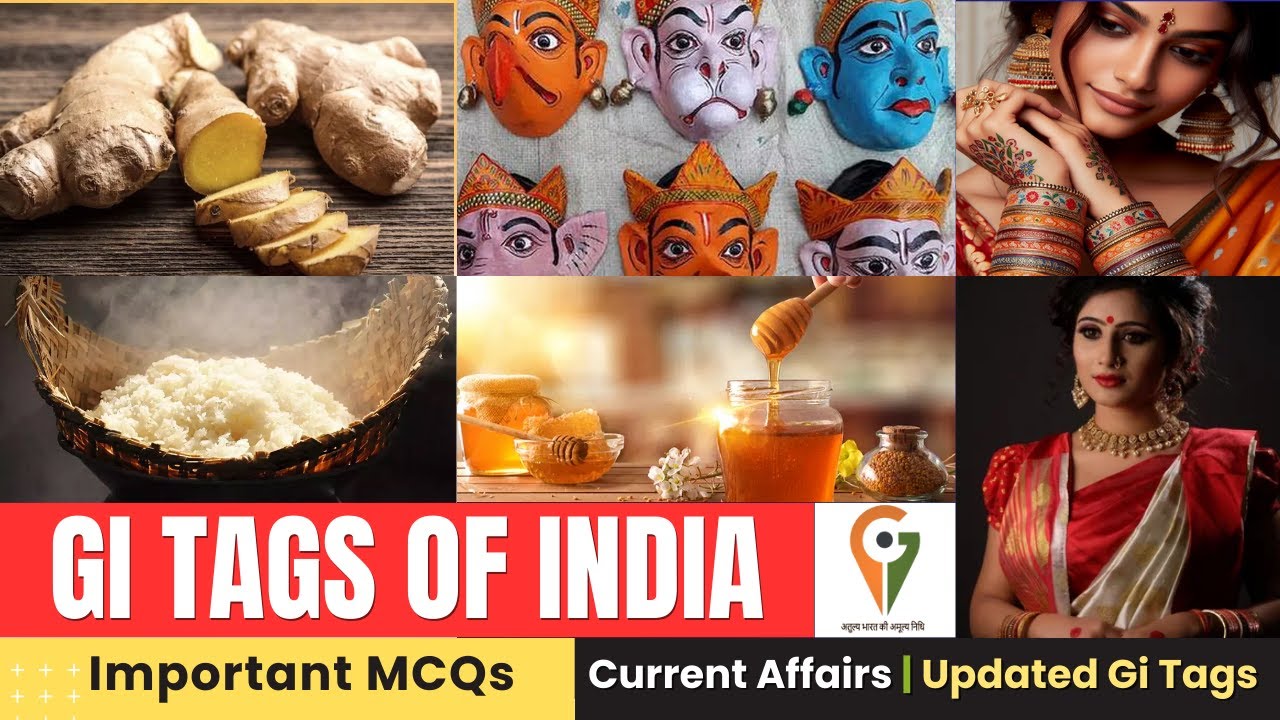 GI Tag 2024 | Current Affairs | Current Affairs Today | Updated Gi Tag ...