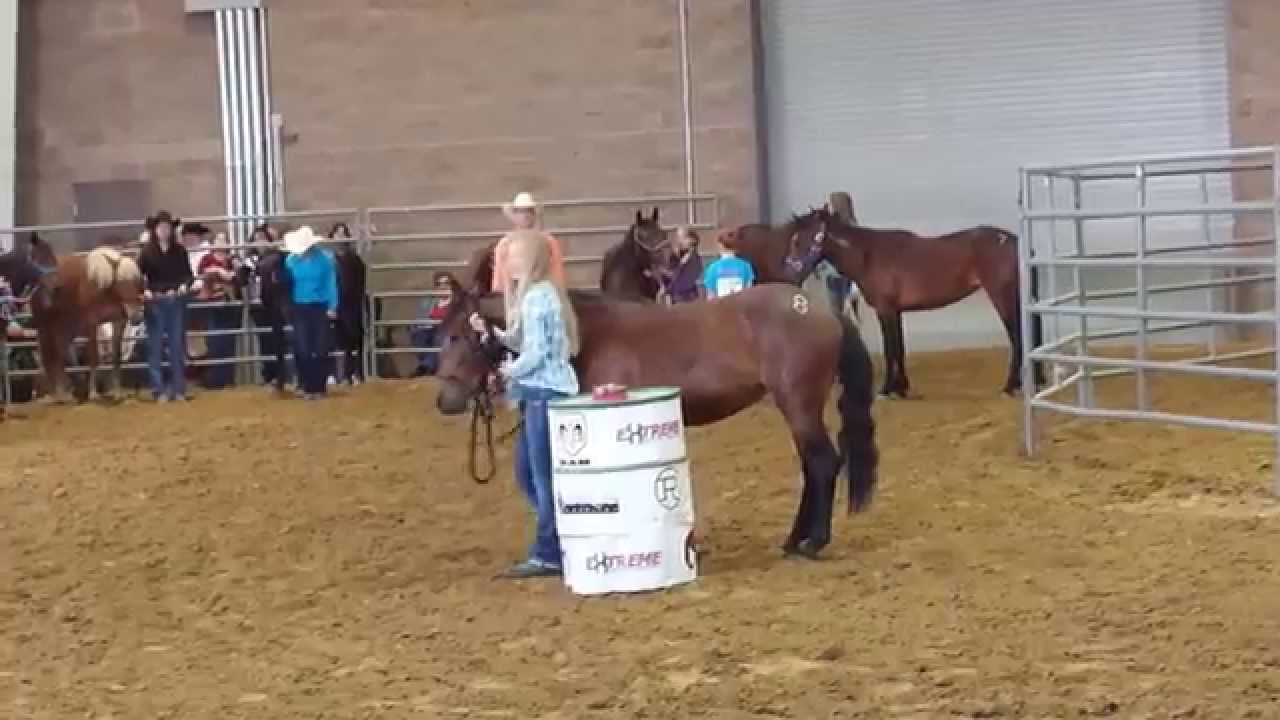 Madison Olver and Samba at Extreme Mustang Makeover - YouTube