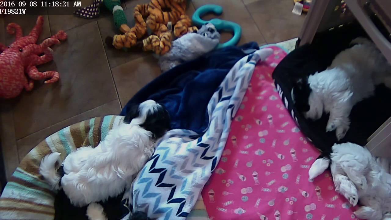 Rowan Going to Sleep for Night - YouTube