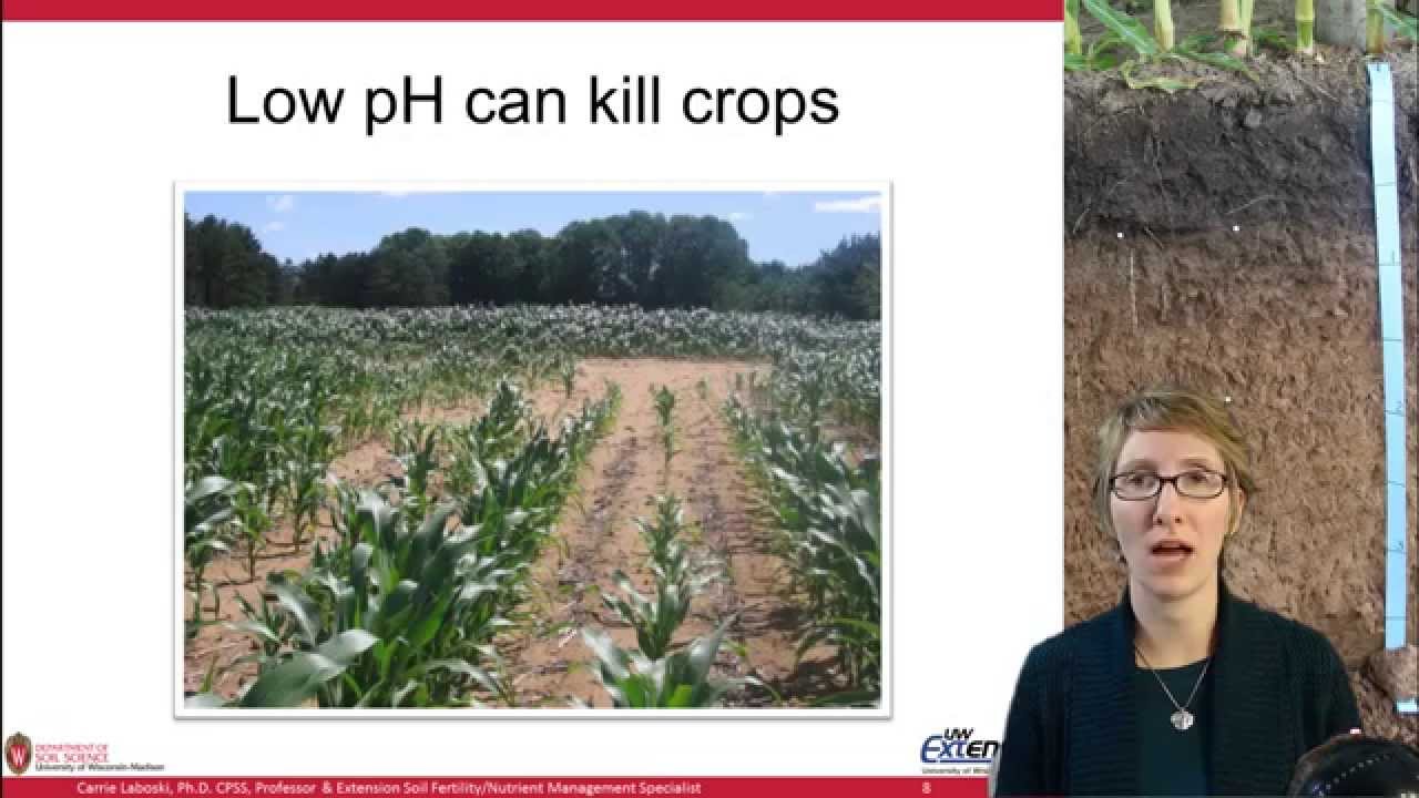 Soil Acidity and Liming, Ag Nutrient Management - YouTube
