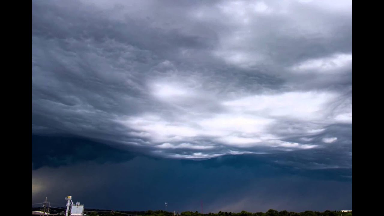undulatus asperatus - YouTube