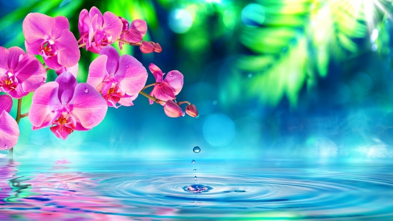 Nhạc Spa Thư Giãn Hay Nhất | Nhạc Spa Thiên Nhiên Tiếng Nước | - YouTube