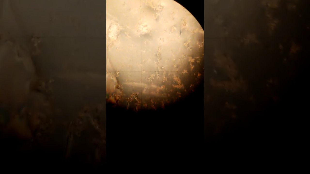 Liquid Crystal under microscope in polarized light - YouTube