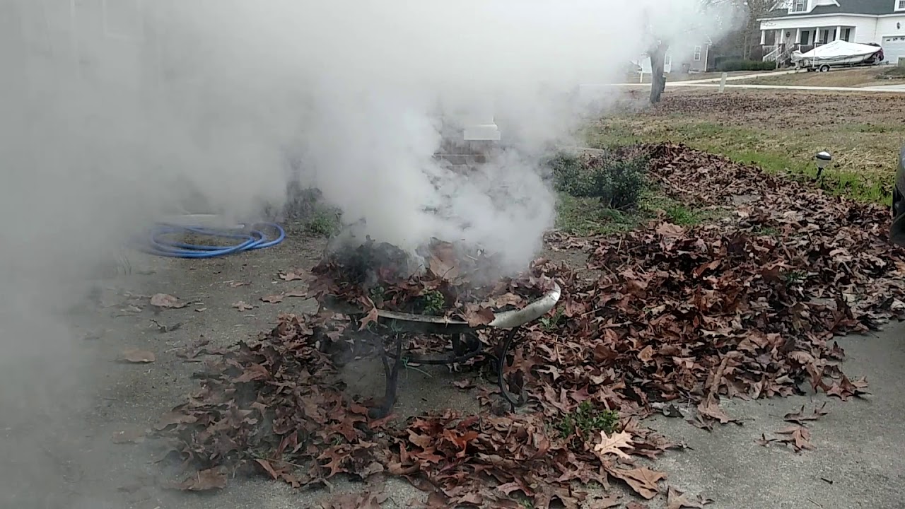 Best time to burn leaves - YouTube