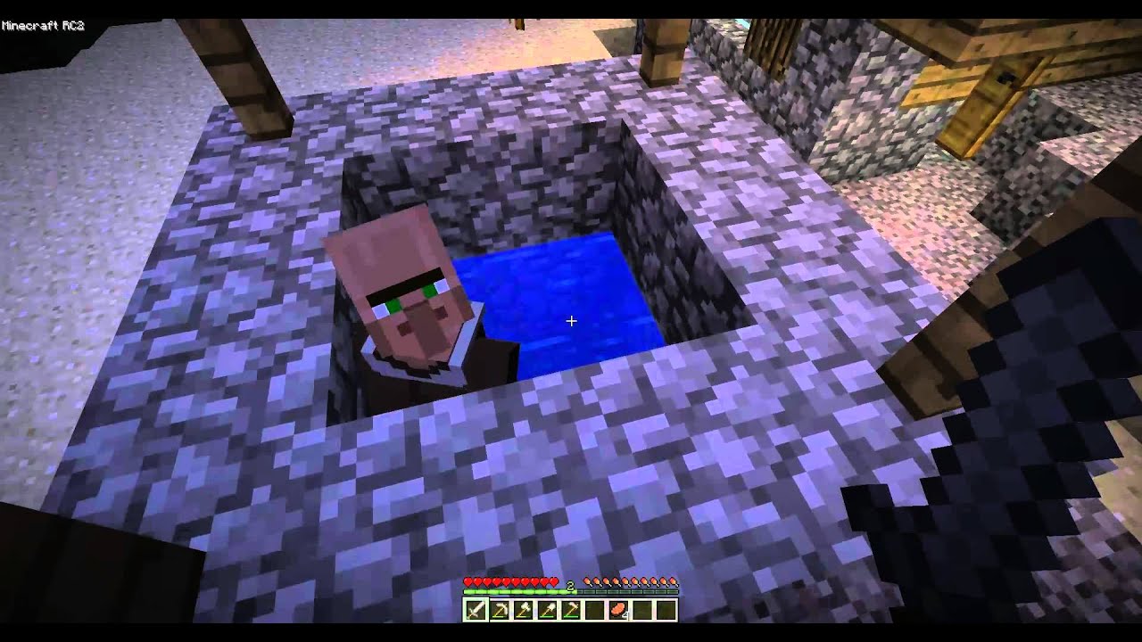 Minecraft RC2 NEW NPC Characters - YouTube