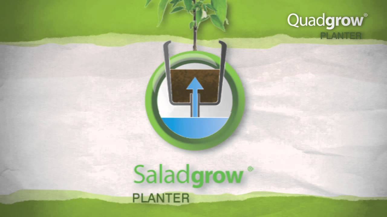 Quadgrow Smart Watering Pots from Mr Fothergill's Seeds Ltd - YouTube