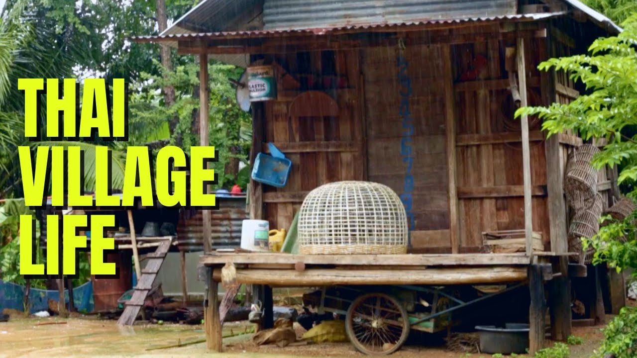 VILLAGE LIFE IN THAILAND, what its like in a small Issan villageชีวิตใน ...