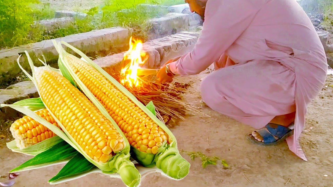 Pakistan Rural Life | Cooking Corn On Coals | Village Cooking Channel ...