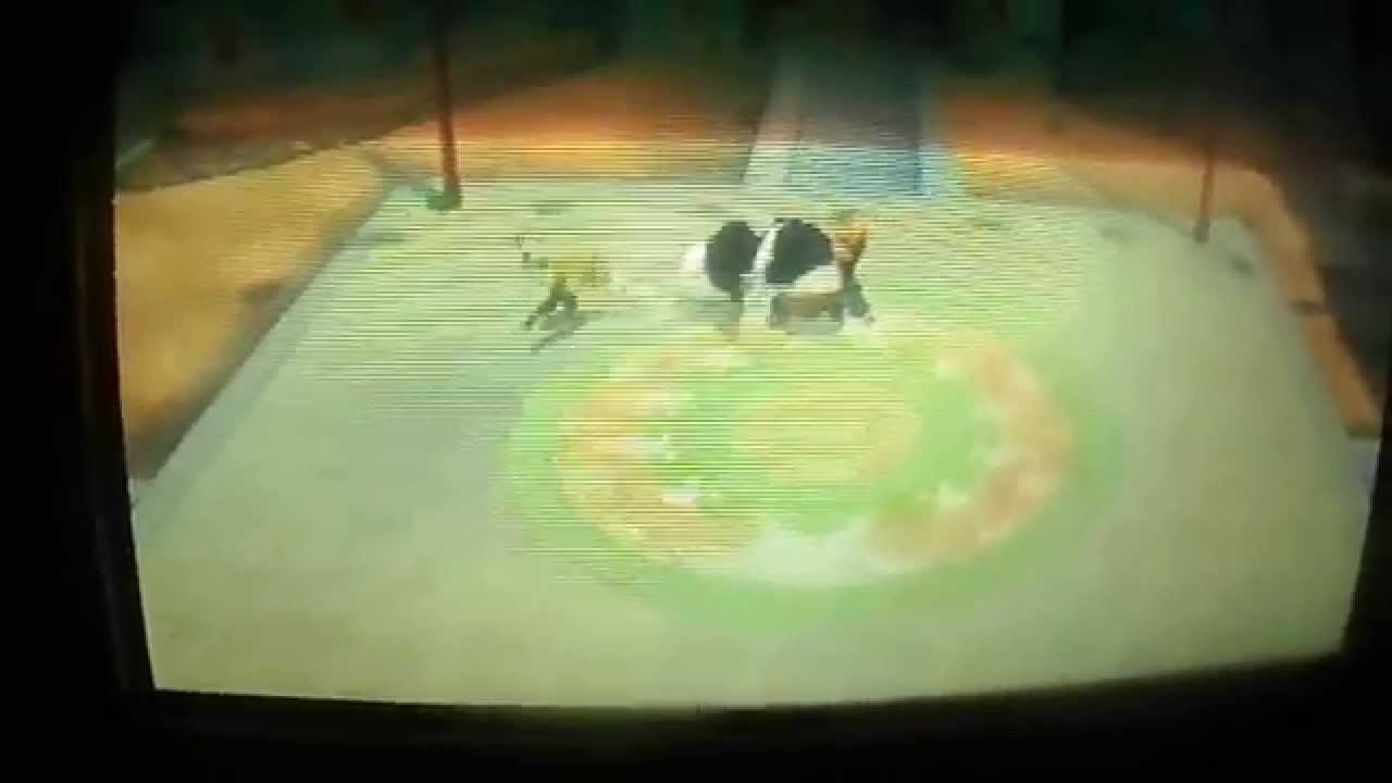 Primeiro Video Wii Kung Fu Panda - Arthur e Afonso - YouTube