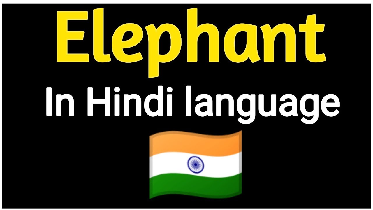 How To Pronounce "Elephant" In Hindi language 🇮🇳 . - YouTube