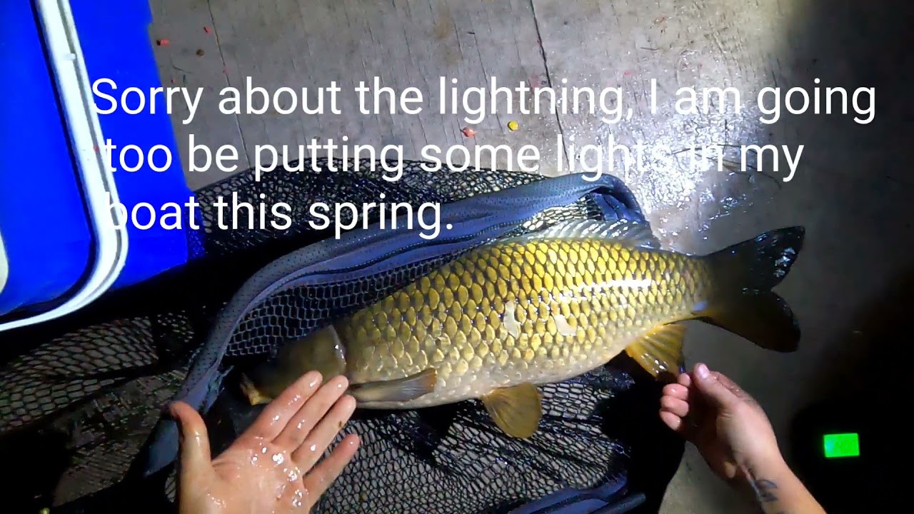 Snake river carp fishing - YouTube
