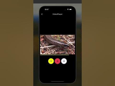 #fluttertutorial #flutter Flutter Bottom Navigation Bar - Tutorial - YouTube