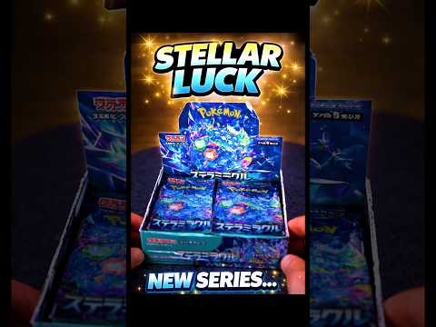 Hunting the Tastiest Dog Card! 🥖 Dachsbun ex Hunt: Day 3 #pokemon   #pokemonshorts #dachsbun #tcg