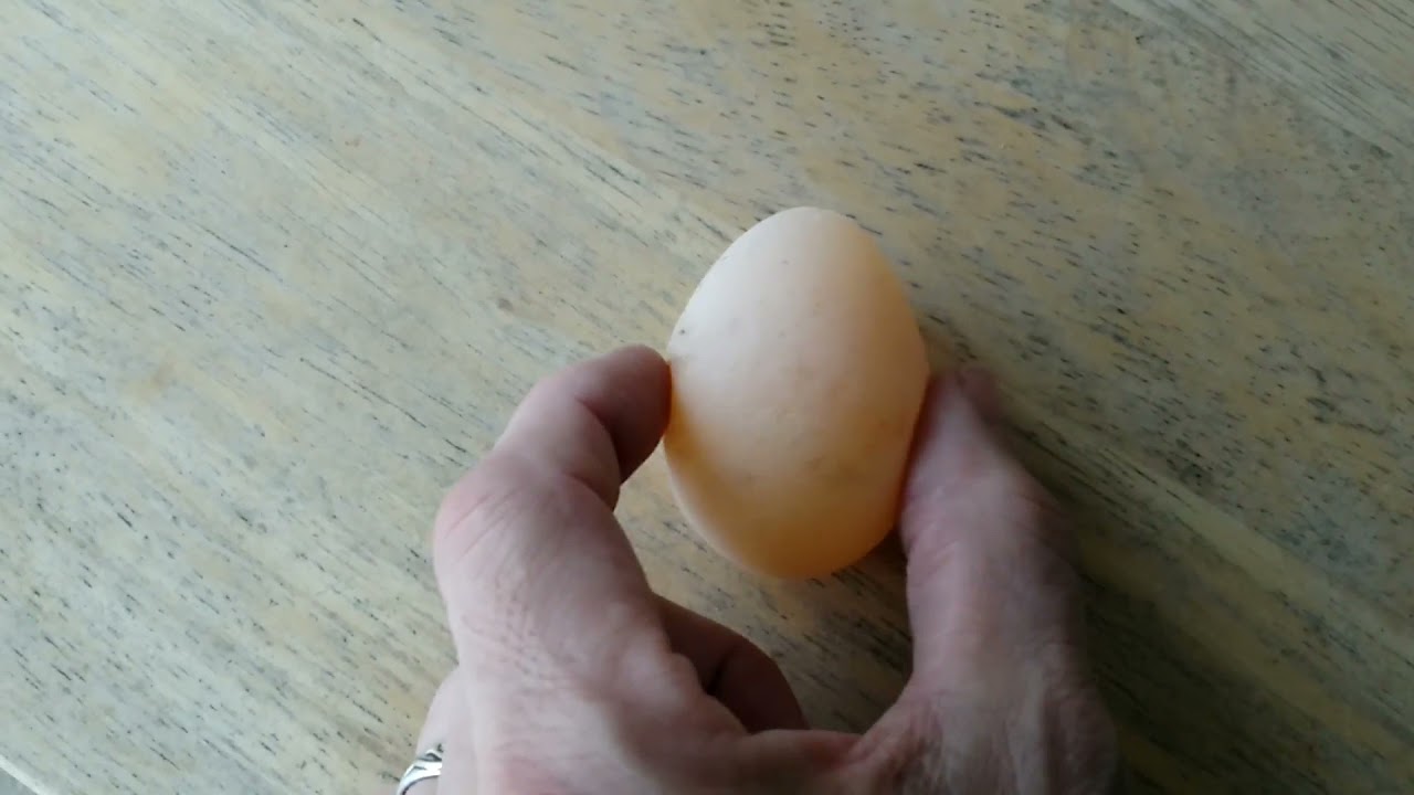 Egg laid without a shell - YouTube