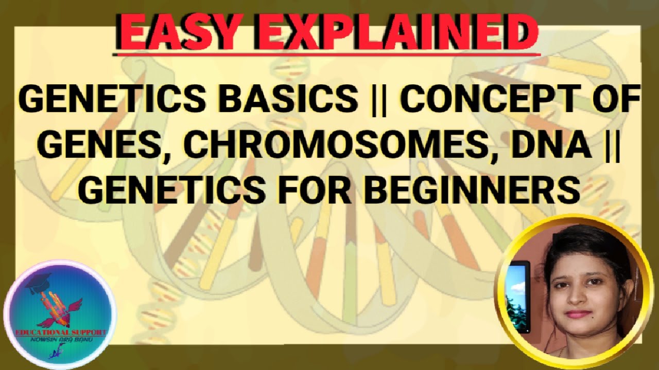 GENETICS BASICS || CONCEPT OF GENES, CHROMOSOMES, DNA || GENETICS FOR ...