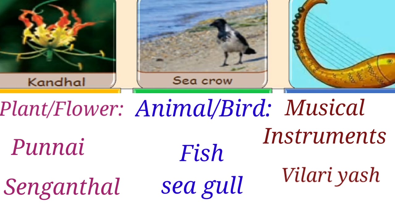 five land forms 5 Class 4 Social Science - YouTube
