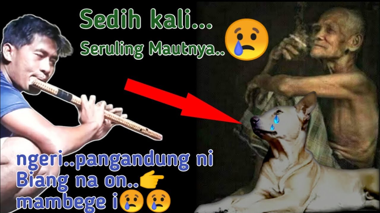 SULIM BATAK ANDUNG ANDUNG PALING SEDIH MASTER SERULING MAUT LUCU||GOT ...