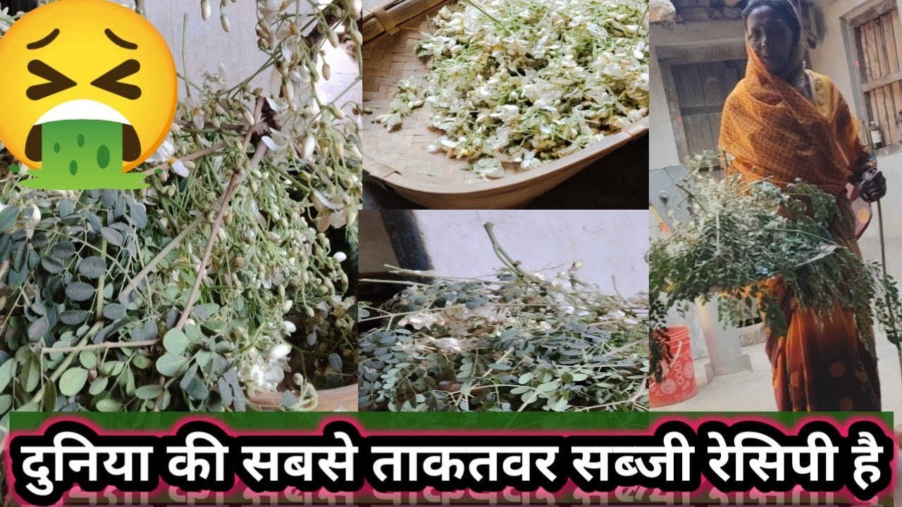 मूंगा के फूल की सब्जी रेसिपी ऐसे बनाकर खाएं। Drumstick Flower recipe ...