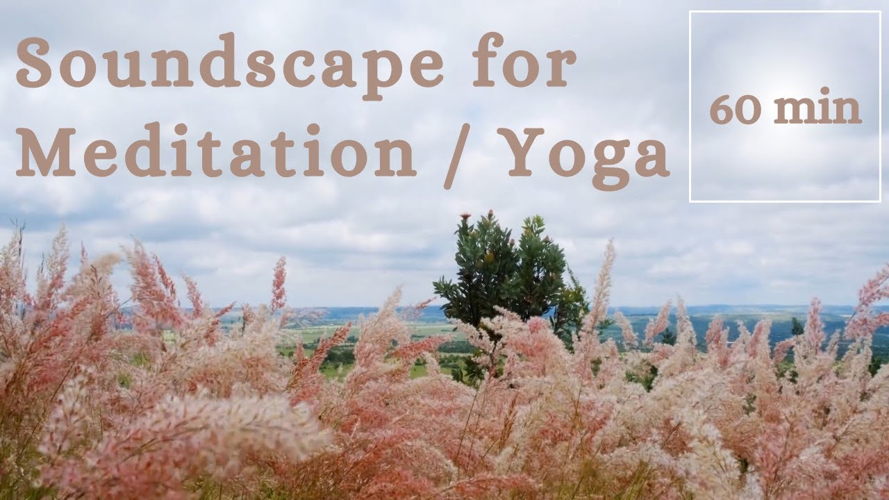 Spring Awakening Ambience ~ Soundscape for Meditation / Yoga - YouTube