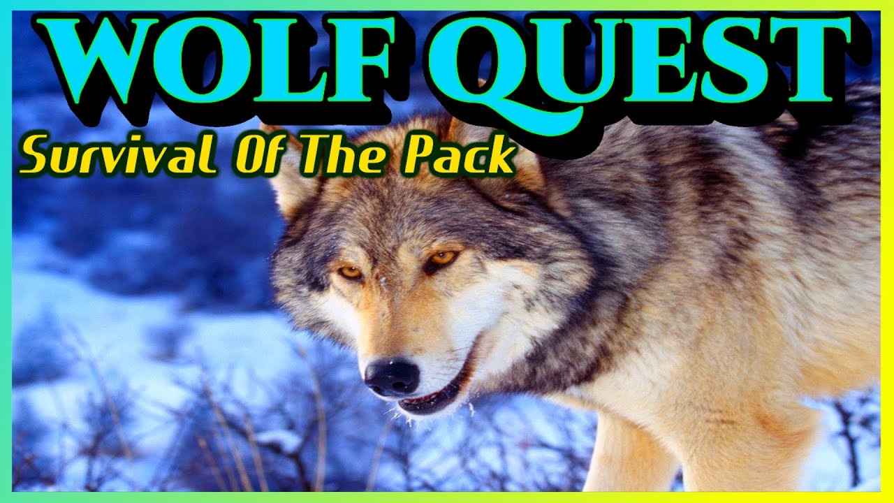 Wolfquest 2.7 Gameplay Animal Simulation #26 - YouTube