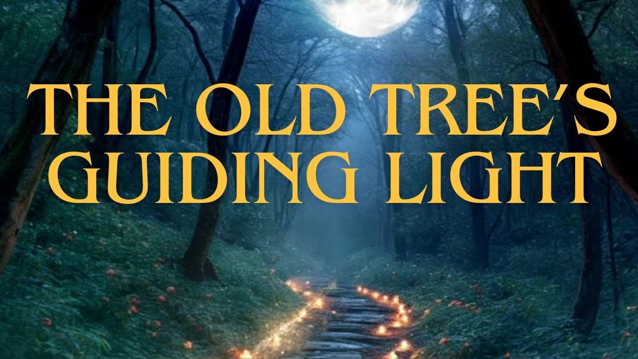 The Old Tree’s Guiding Light, relax, meditation, peaceful - YouTube