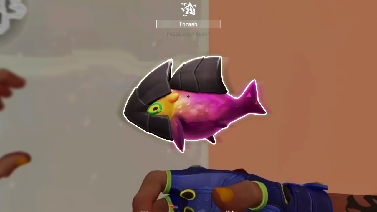 Gekko Fish OP - YouTube