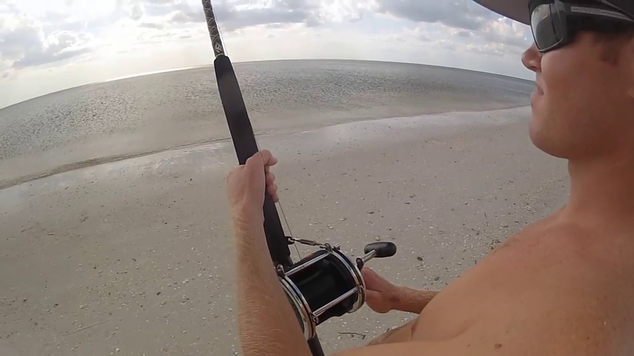 Shark Fishing Naples, FL - YouTube