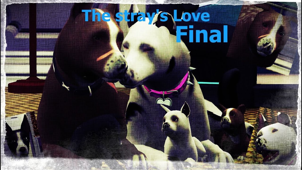 The Stray's Love part 4 final (HD) - YouTube