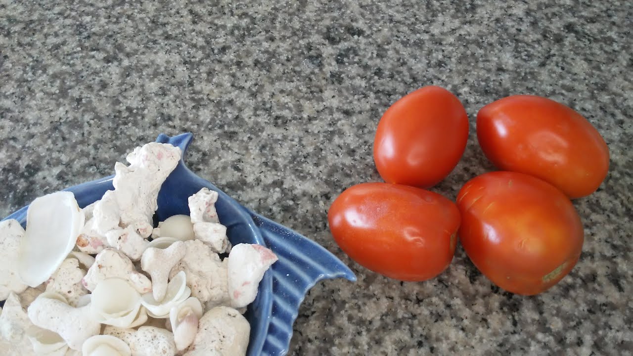 Como hacer Salsa Casera | Ideas para conservar Salsa Casera ...