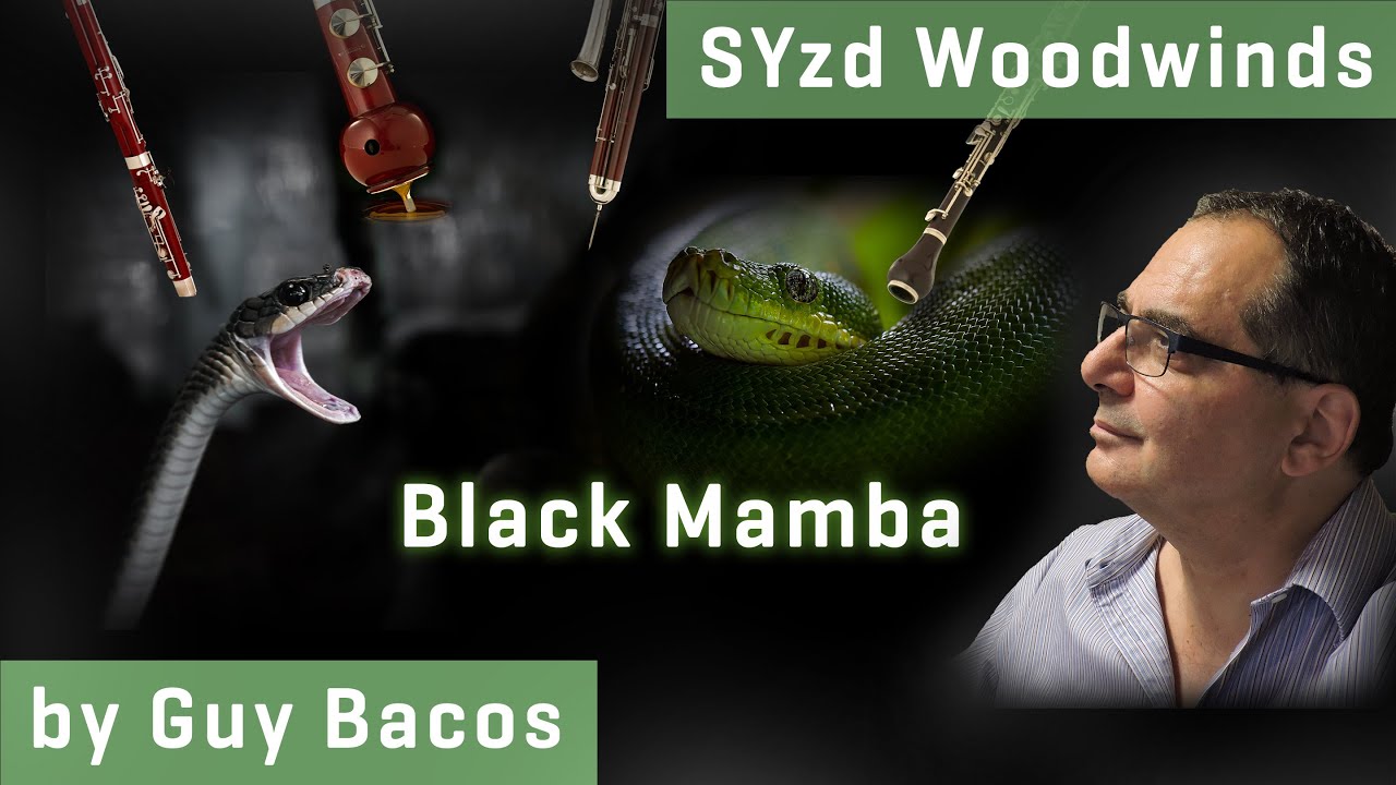 NEW: **Studio Series** VSL SYNCHRON-ized Woodwinds: Black Mamba ...