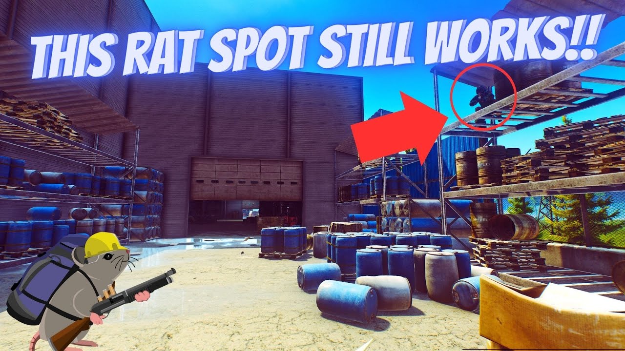 New INTERCHANGE Rat Spot ( Updated ) - YouTube