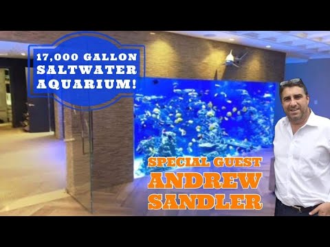 17,000 Gallon In-Home Aquarium by Andrew Sandler - YouTube