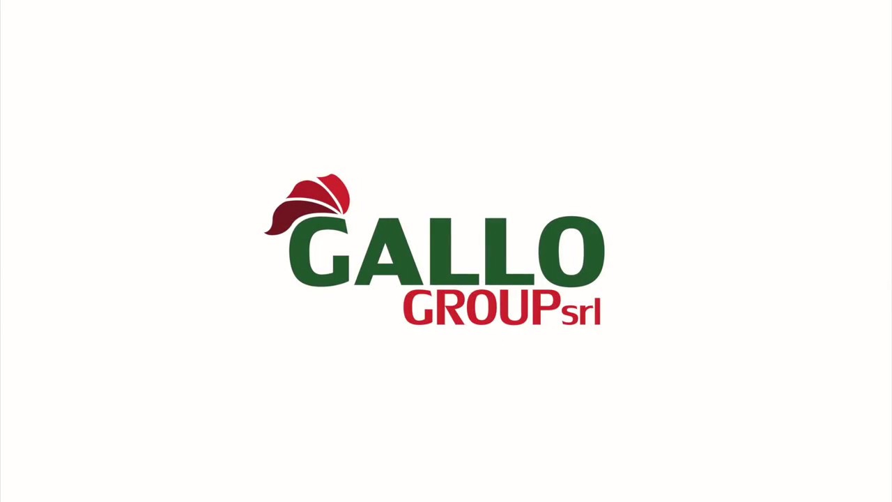 Gallo Group Srl - YouTube