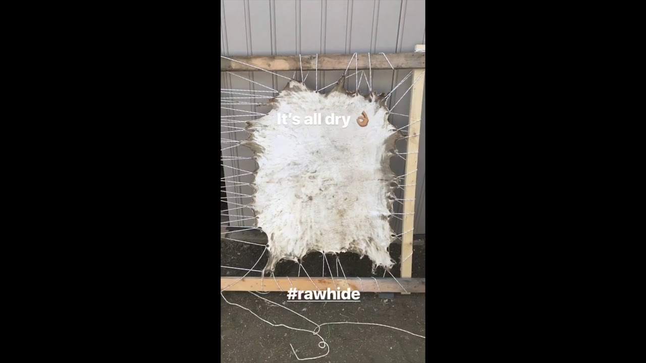 Traditional Buffalo and Deer Hide Fleshing - YouTube