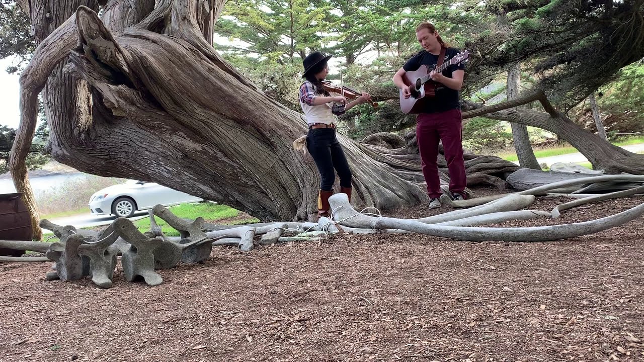 The Try-Works - Hunting Buffalo - YouTube