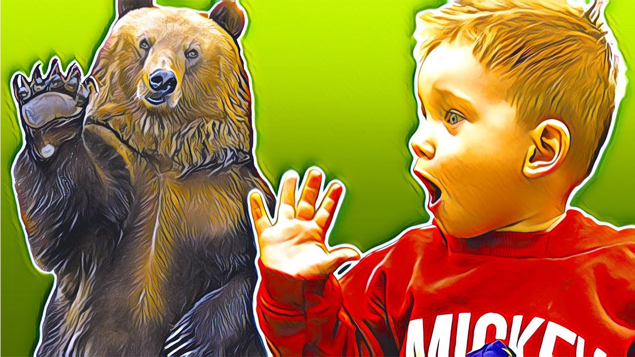 Mark and Dad are playing in the woods and meet a big bear. - YouTube