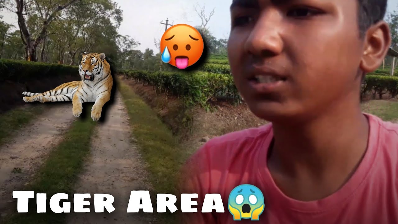 Tiger Ke Area Pe Rasta Bhatak Gae😱Ab Kiya Hoga😯 - YouTube