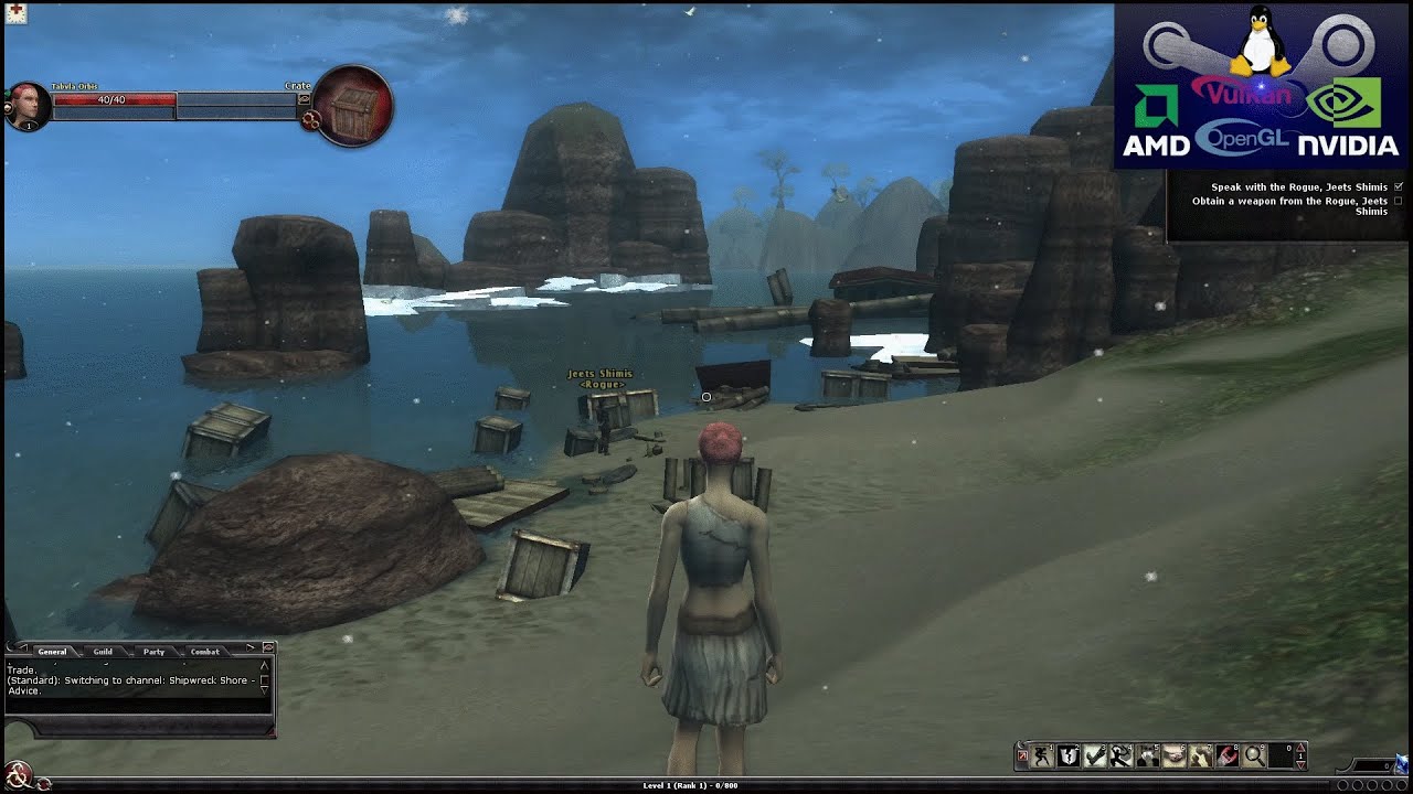 Dungeons & Dragons Online - Thelanis: Shipwreck Shore episode - YouTube